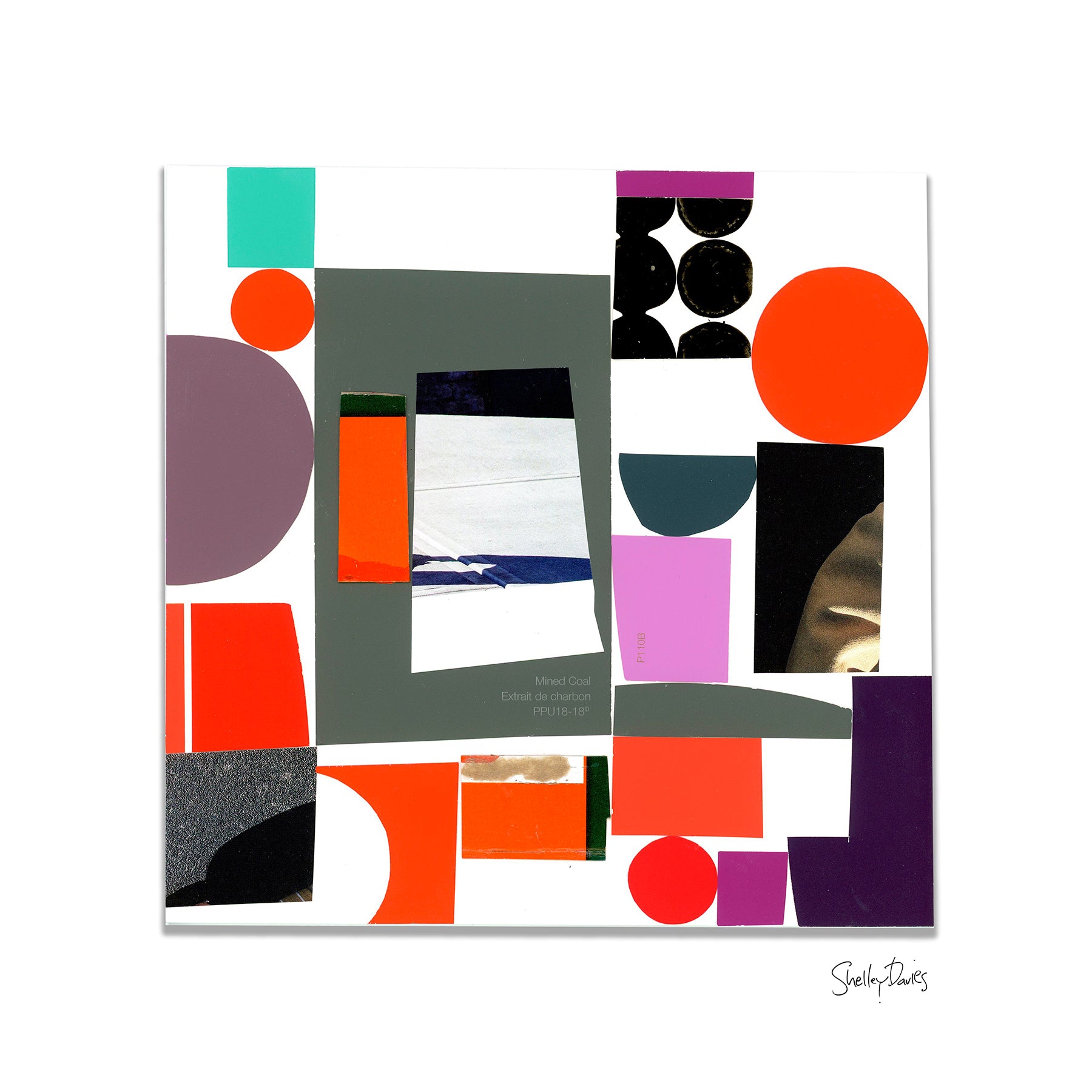 Persimmon Shadow – Shelley Davies